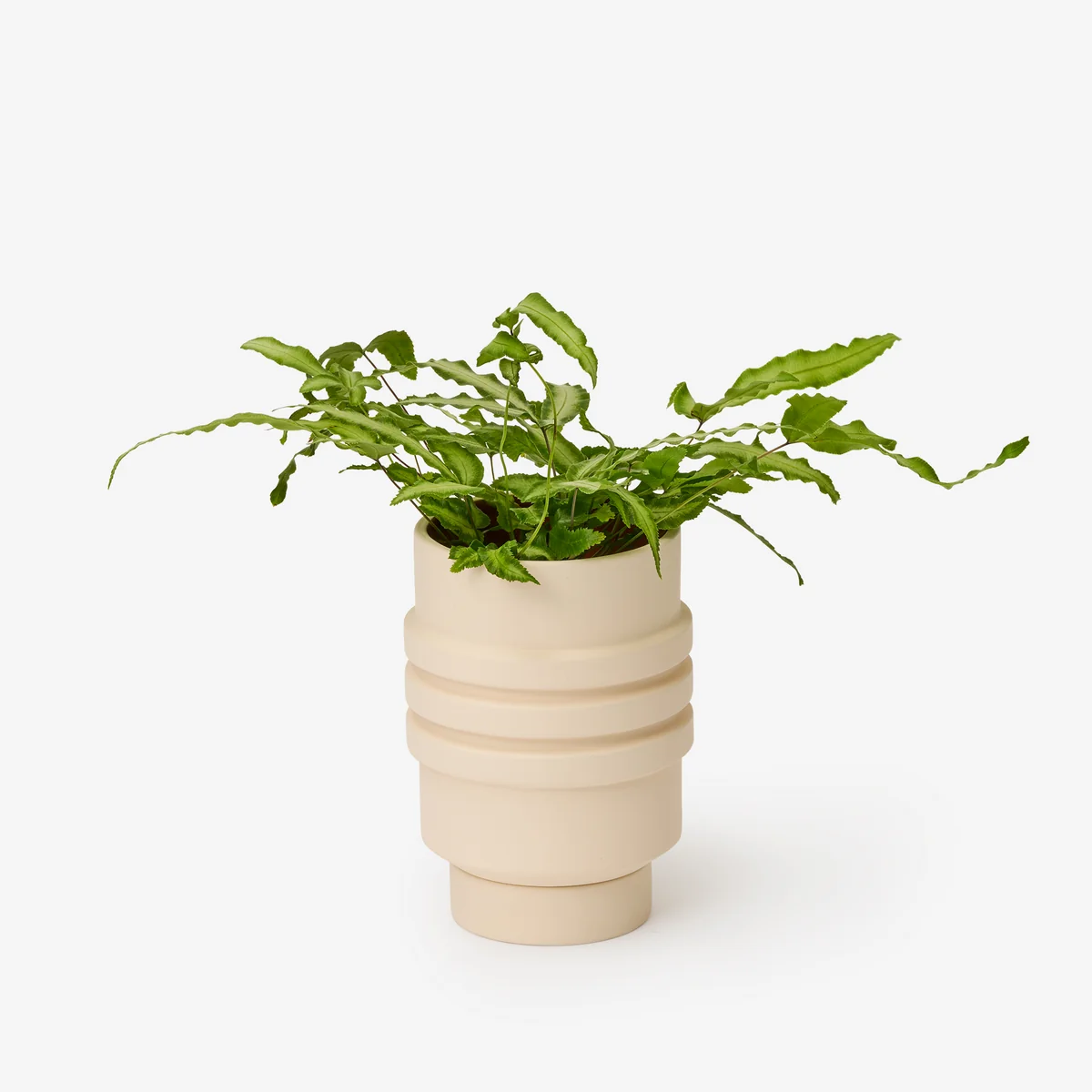 Strata Blumentopf von Areaware | Connox